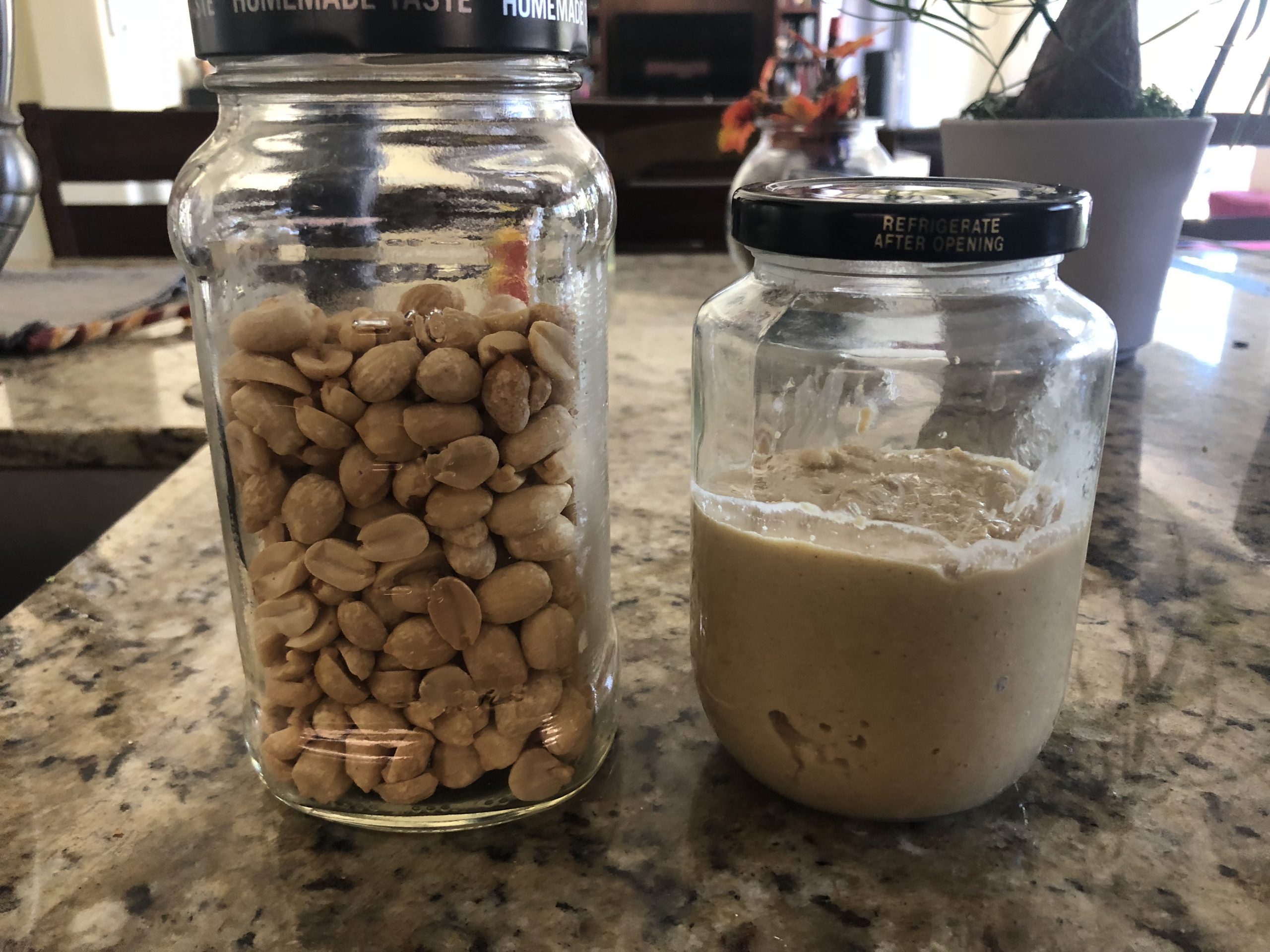 Project HOMEMADE PEANUT BUTTER!!! – Dr. Plastic Picker